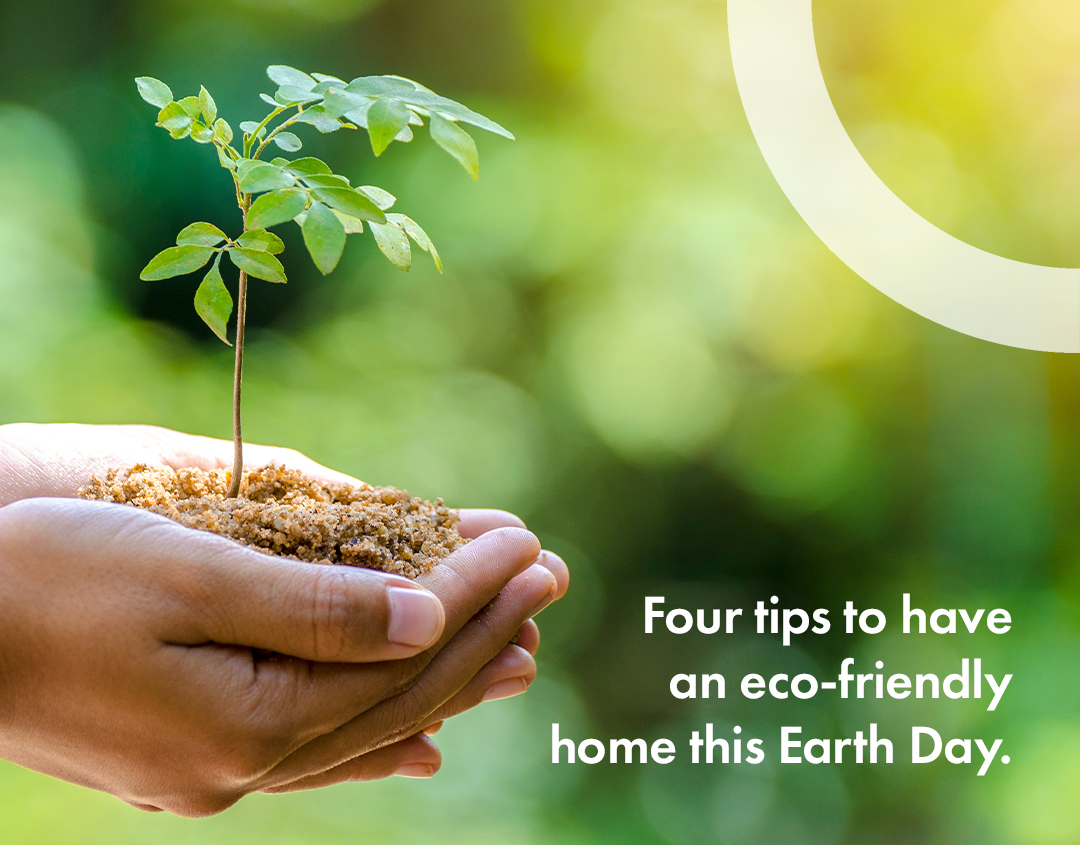 Four tips to have an eco-friendly home this Earth Day - Outline ...